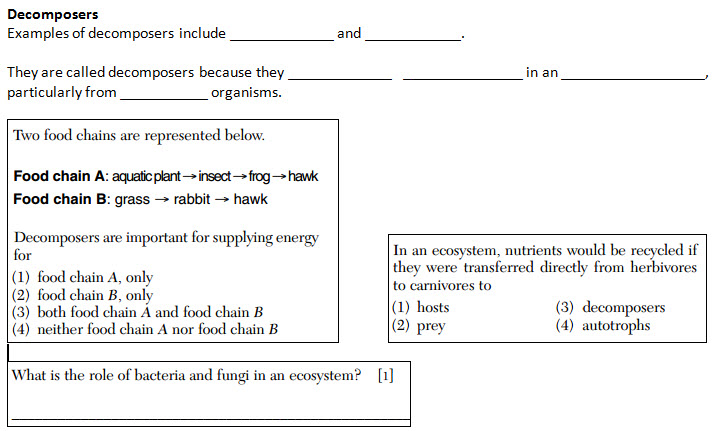 Living Environment Regents Review – Part 4 of 5 – BioVideoTutor.com